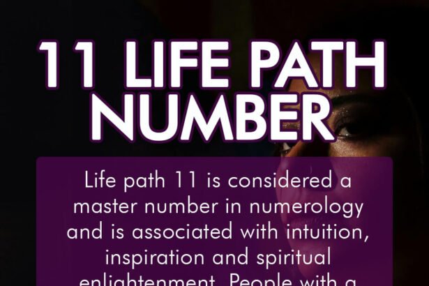 Life Path Number 24/6: The Nurturer with Strong Roots