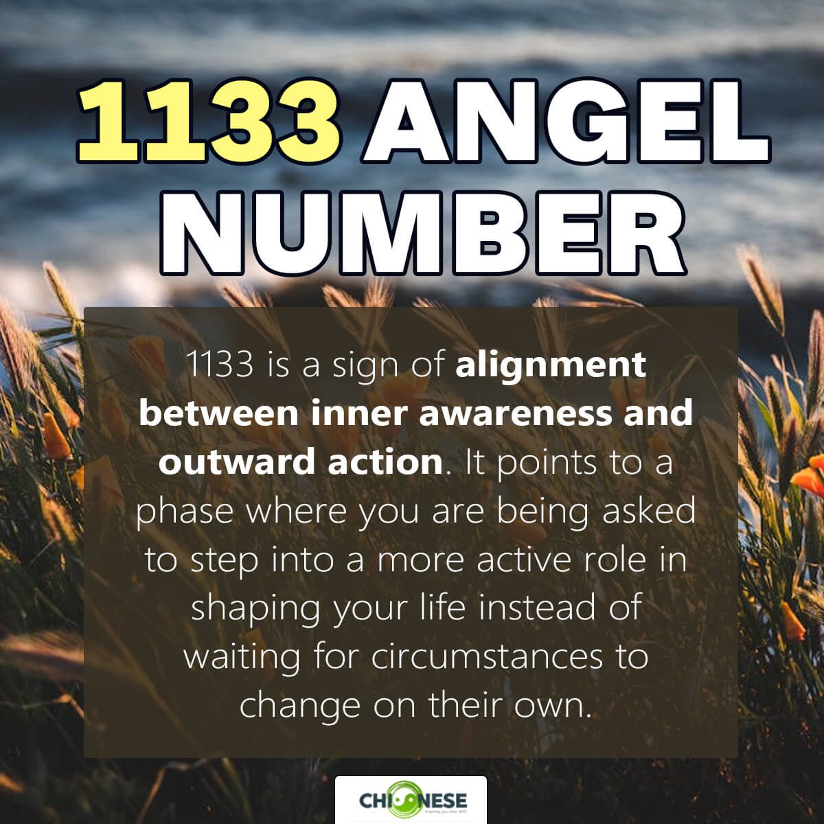 Angel Number 1133: Alignment, Growth, and the Moment to Act