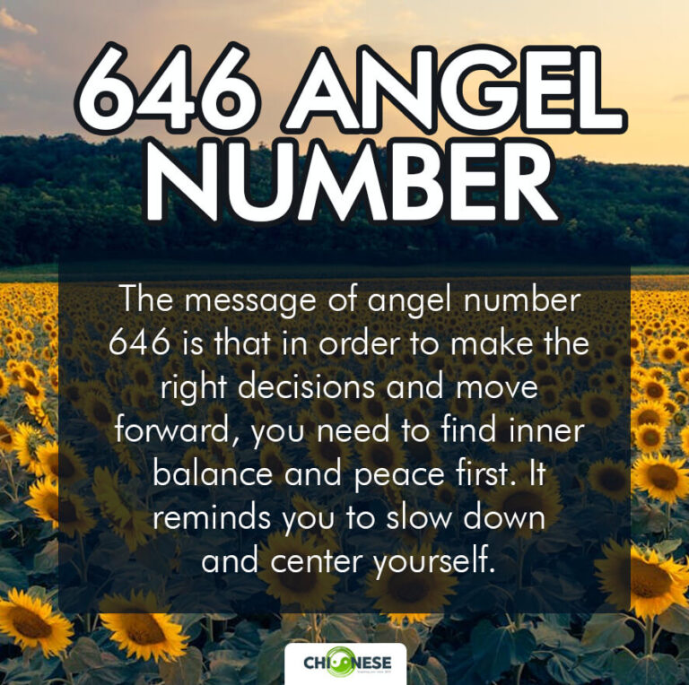 Angel Number 646 Spiritual Meaning (Twin Flame, Money, Love)