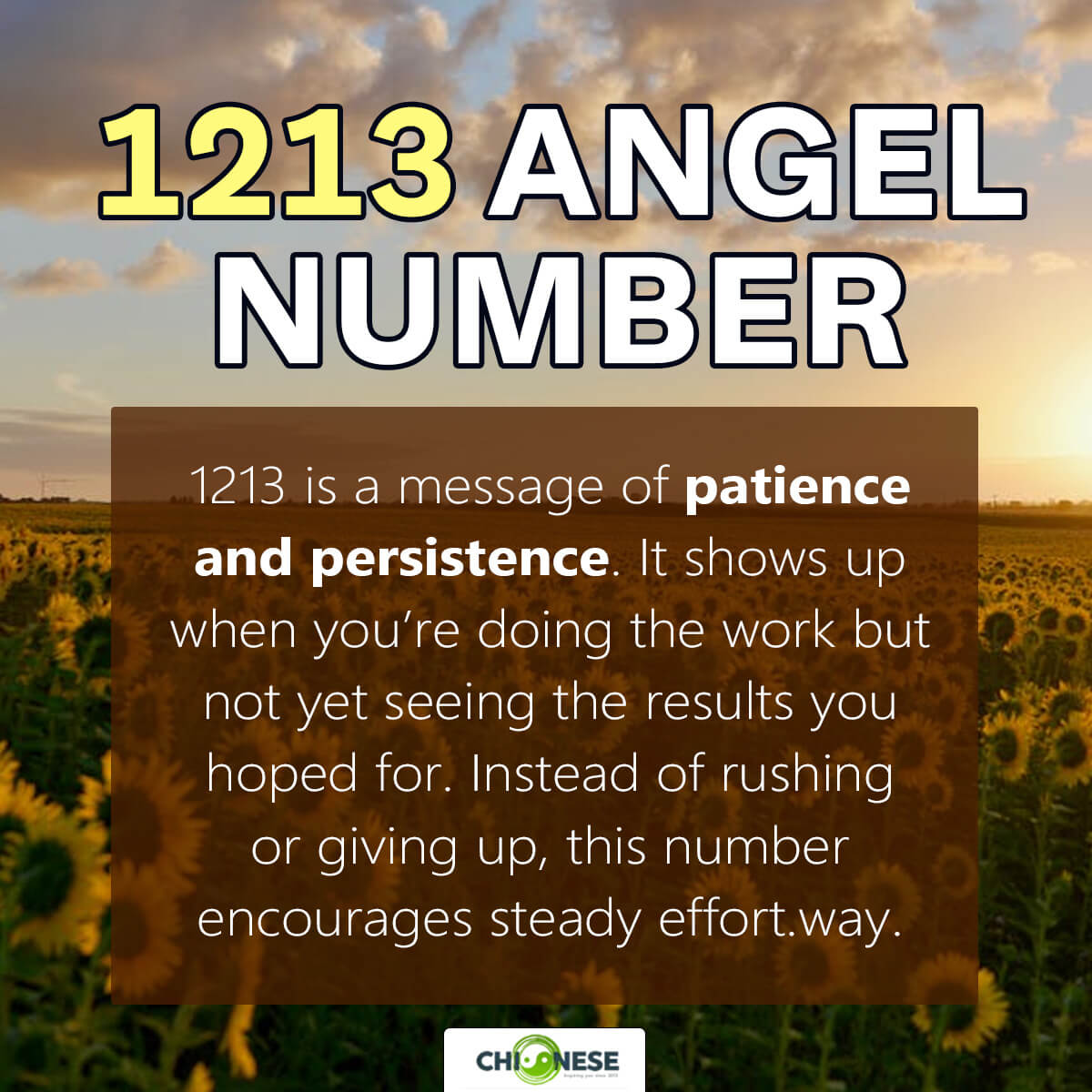 Angel Number 1213 Meaning: Slow Progress, Real Results
