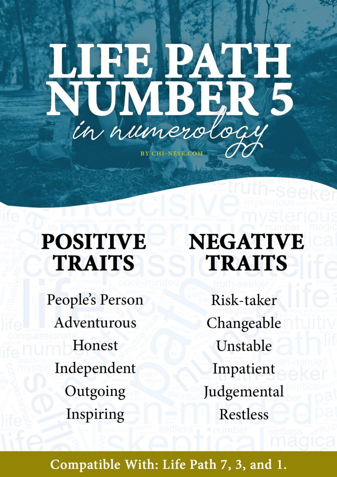 Life Path Number 5: The Adventurer and Freedom Seeker