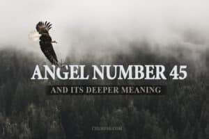 Angel Number 45 And Its Deeper Meaning You Should Know - What Does 45 ...