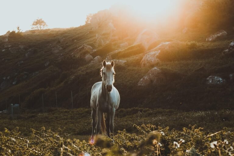 17 Animals That Symbolize Strength in the Real World