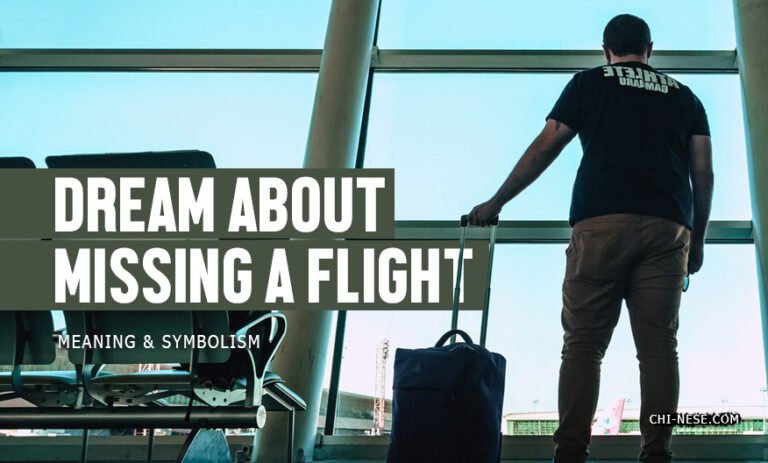 Dream About Missing a Flight: Spiritual Meaning & Symbolism