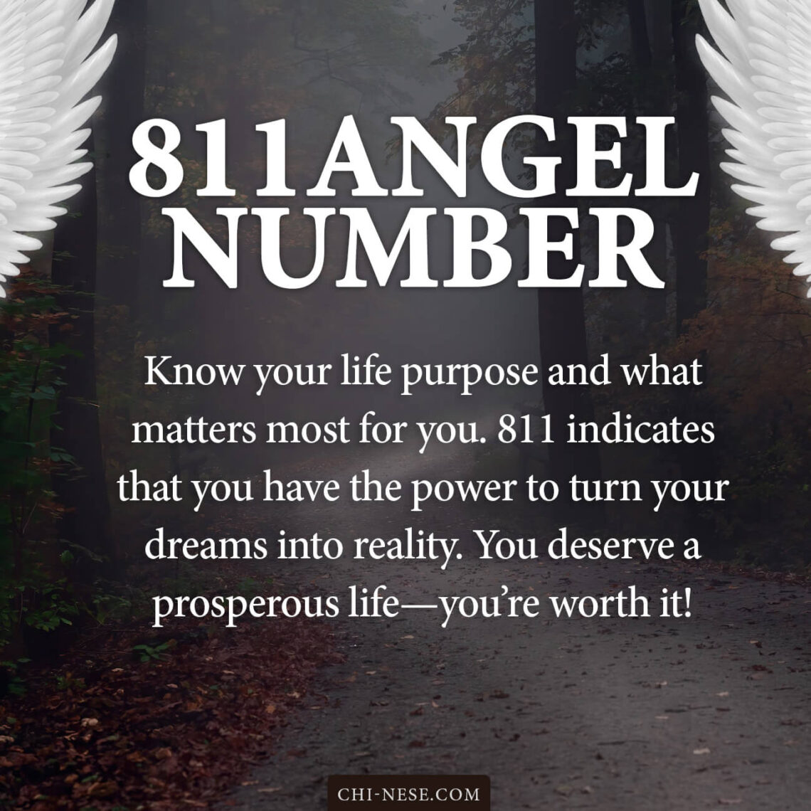 Angel Number 811 Spiritual Meaning (Twin Flame, Love, Money)