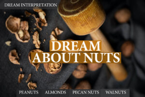 Dream About Nuts (Almonds, Walnuts, Peanuts): Spiritual Meaning