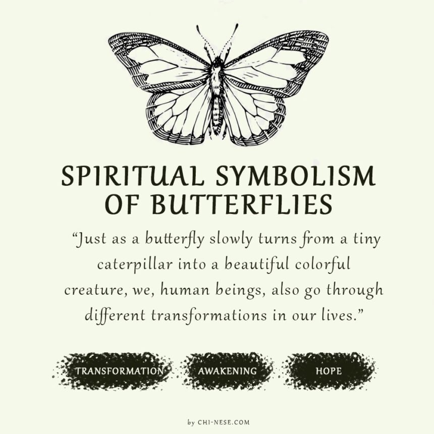 When A Butterfly Lands On You And Stays: Spiritual Meaning