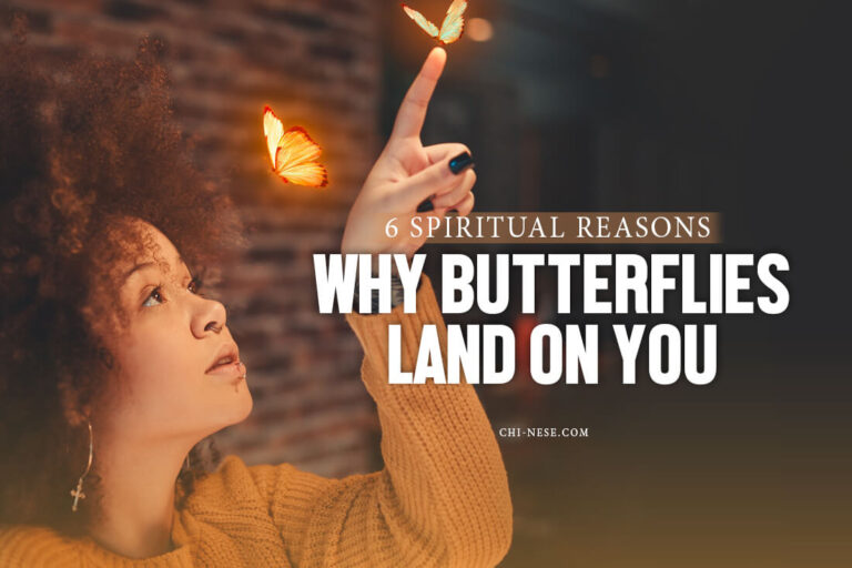When a Butterfly Lands on You and Stays: Spiritual Meaning Explained