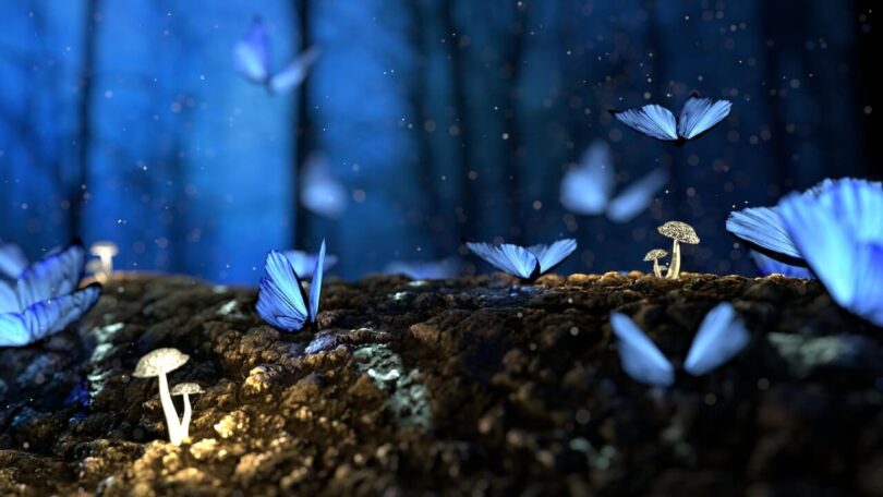 When a Butterfly Lands on You and Stays: Spiritual Meaning Explained