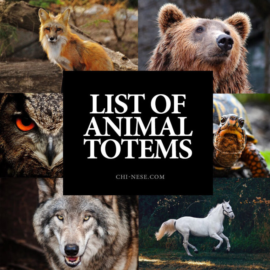 List of Animal Totems and Their Meanings (+ Types of Animal Totems)