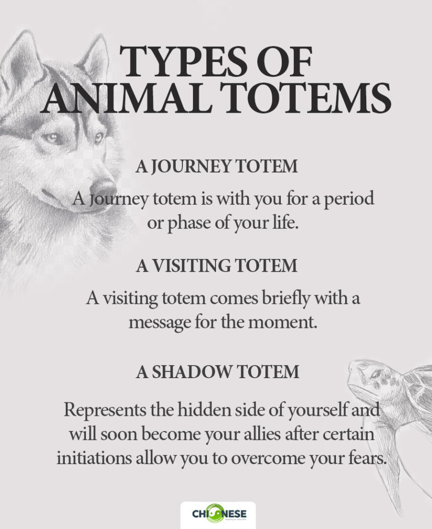 List of Animal Totems and Their Meanings (+ Types of Animal Totems)