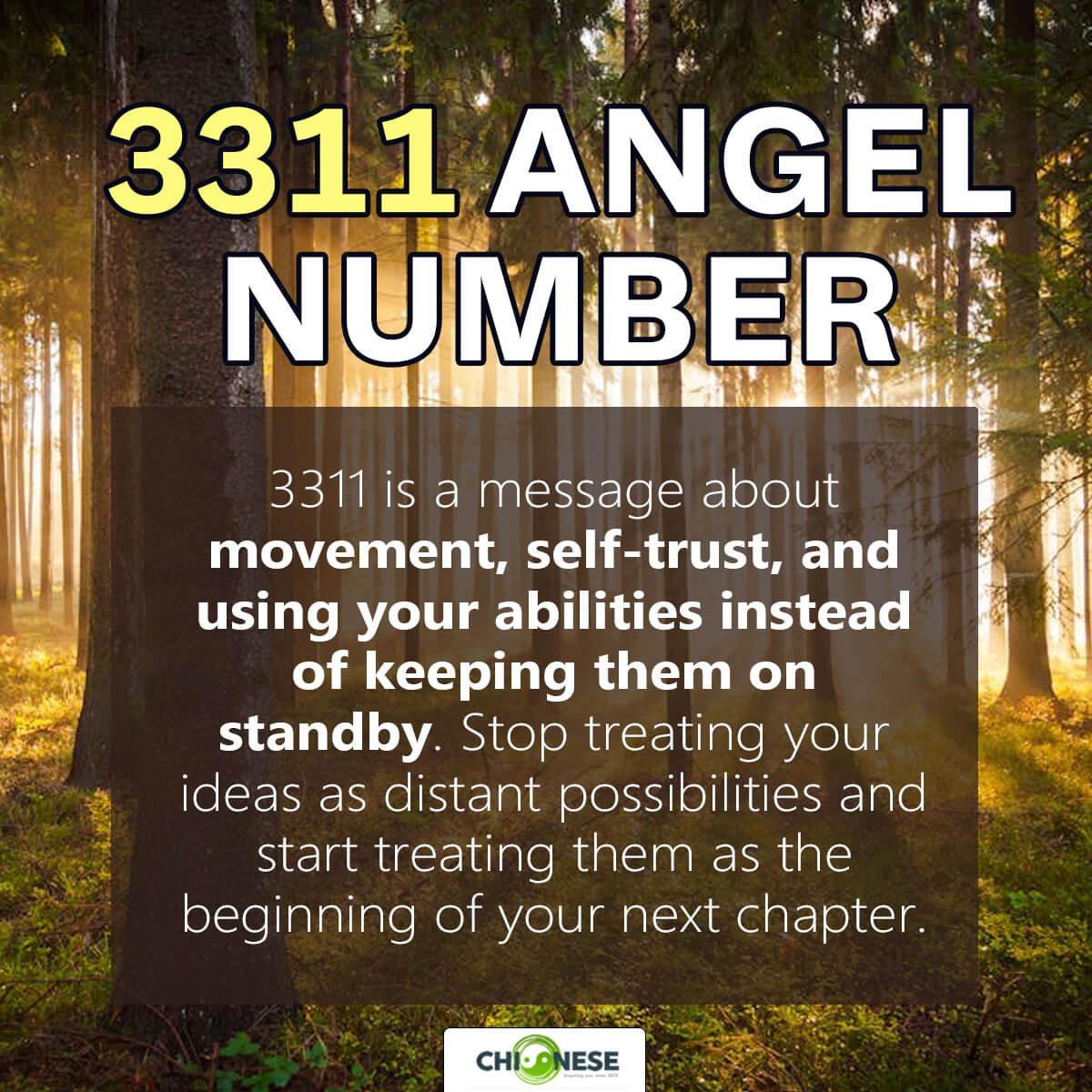 Angel Number 3311: A Signal to Start What You’ve Been Avoiding