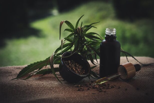 What Is Cannabis Oil And Where Is It Used? - Daily Positivity Blog