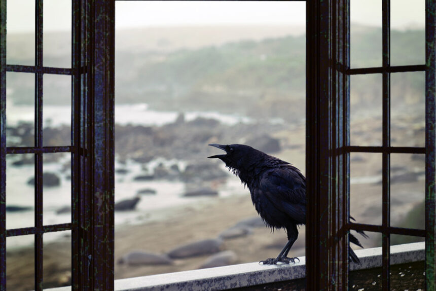 The Spiritual Meaning of A Crow Cawing Outside Your Window: A Bad Omen?