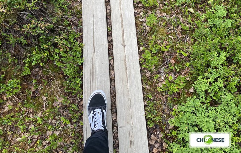 Easy Elsie, Lancaster Plane Crash Site (Sweden): Photos & How to Get There