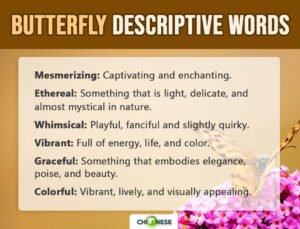 Best Words to Describe a Butterfly (Wings, Movement, Flight, Beauty)