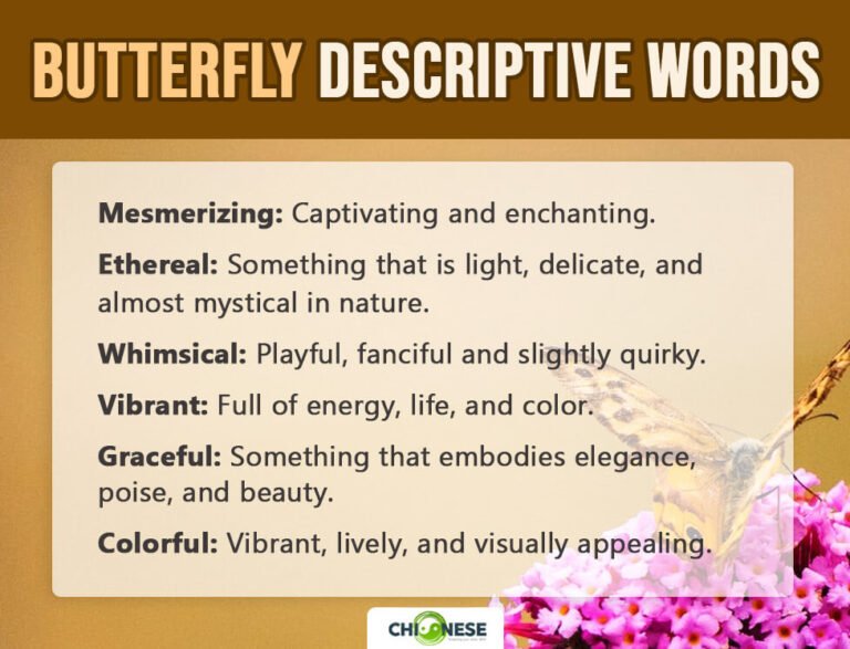 Best Words to Describe a Butterfly (Wings, Movement, Flight, Beauty)