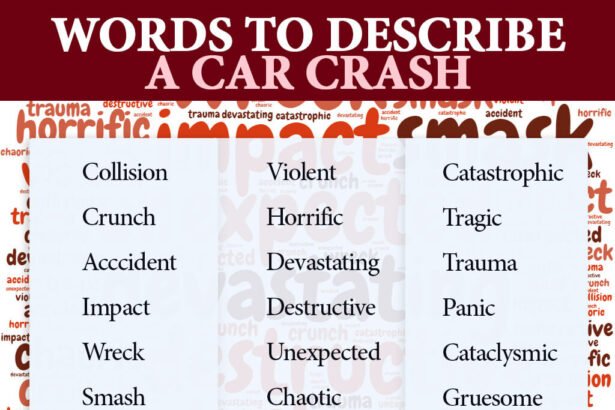 Travel Words That Start With S: Adjectives, Verbs, Nouns, and Countries