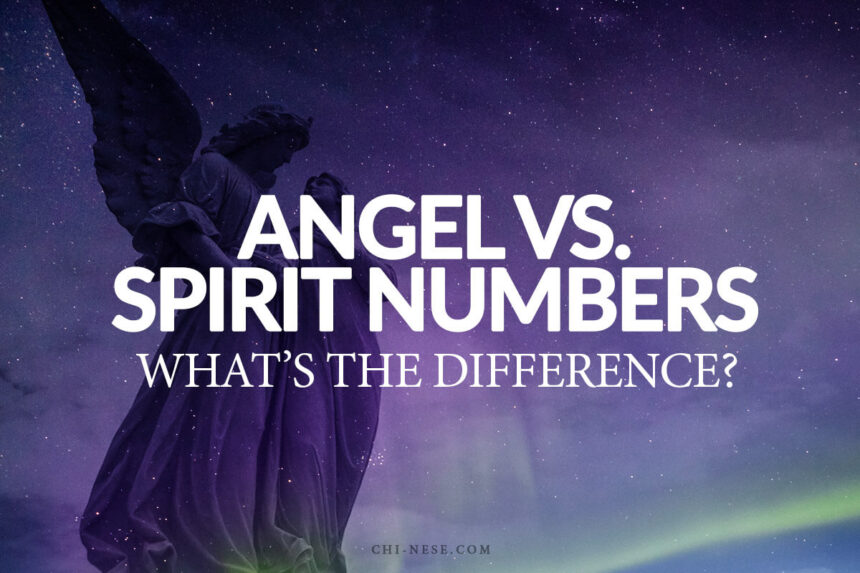 Angel Numbers vs. Spirit Numbers - What's The Difference?