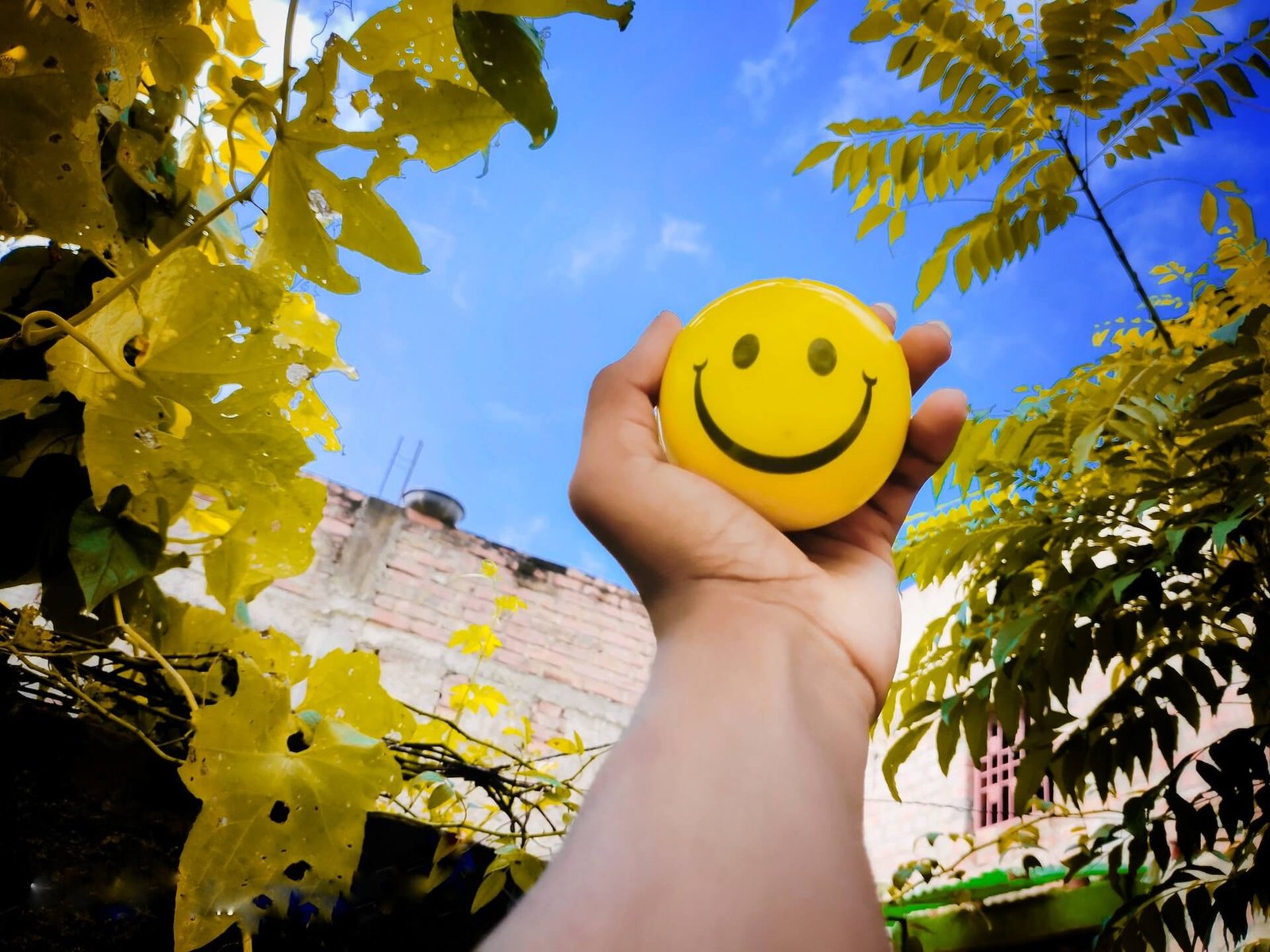 100+ Funny Words That Start With S: From Smirk to Silly