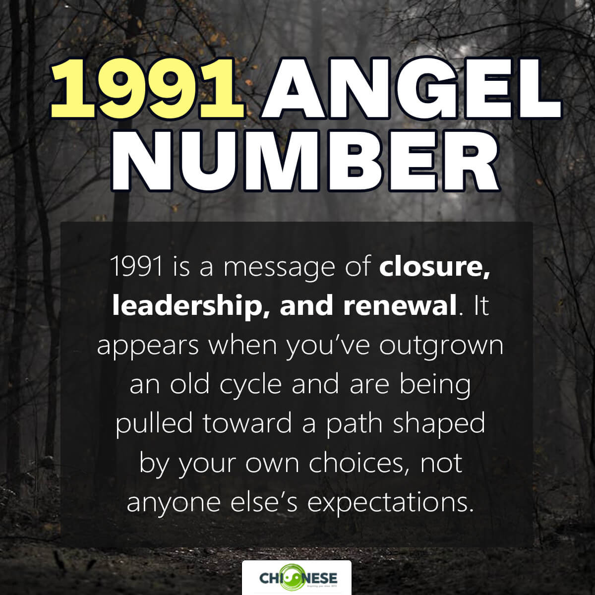 Angel Number 1991: The Shift From Old Patterns to Self-Led Growth