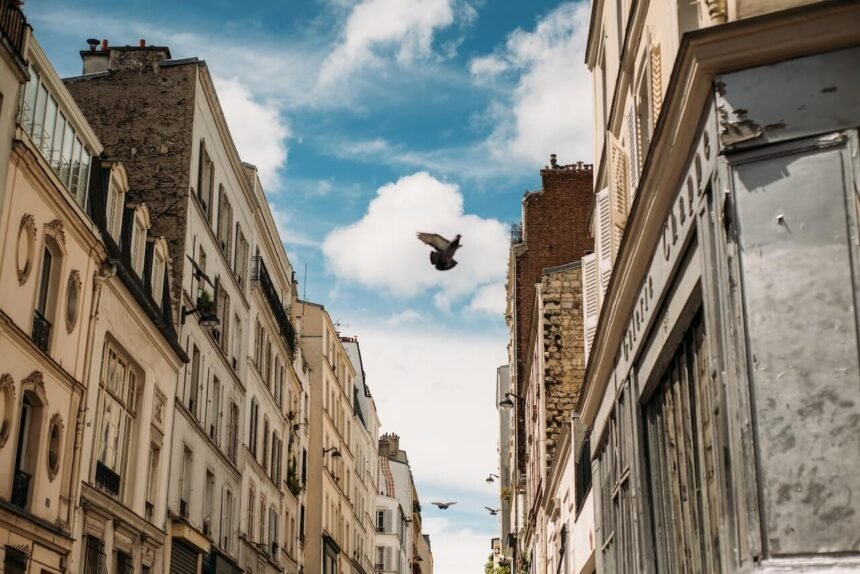 When a Bird Keeps Flying Into Your Window: Spiritual Meaning ...