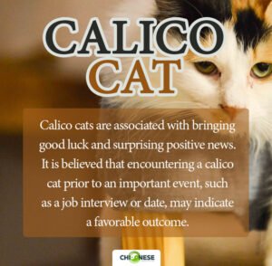 Spiritual Meaning of Calico Cats: Dreams, Luck, and Superstitions