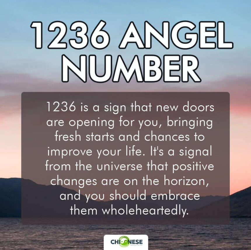 Angel Number 1236 Spiritual Meaning (Twin Flame, Love, Money)