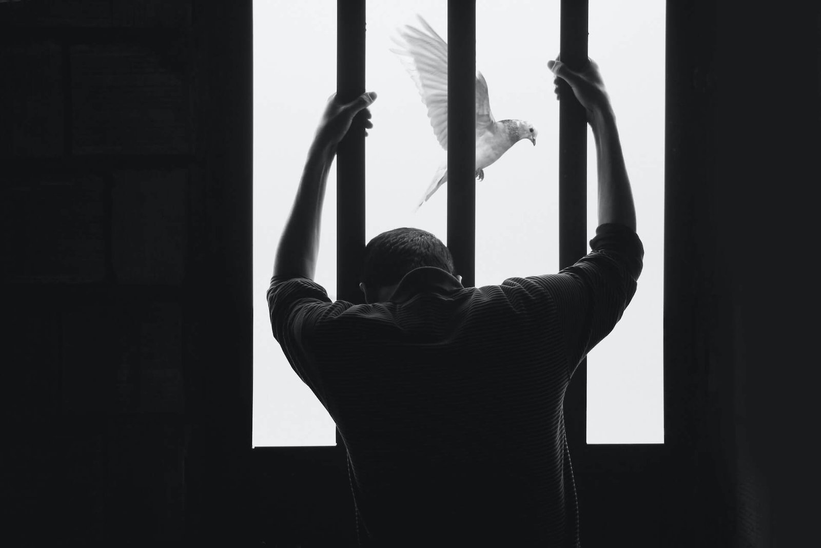 Is Earth a Prison Planet? Thoughts on Suffering and Survival