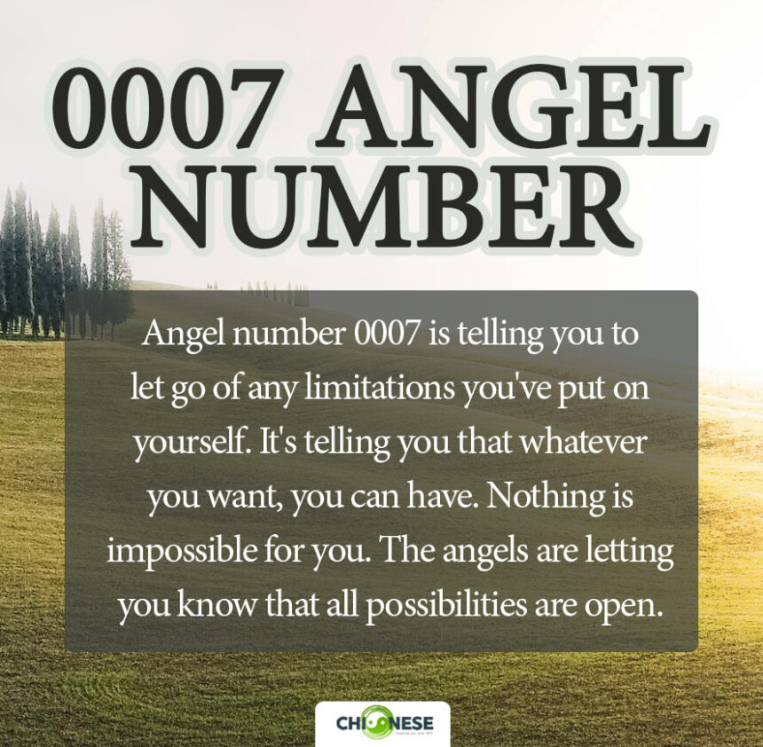 Angel Number 0007 Spiritual Meaning (Twin Flame, Money, Love)