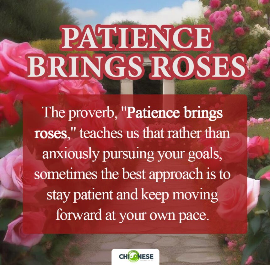 Patience Brings Roses: The Meaning of This Czech Proverb