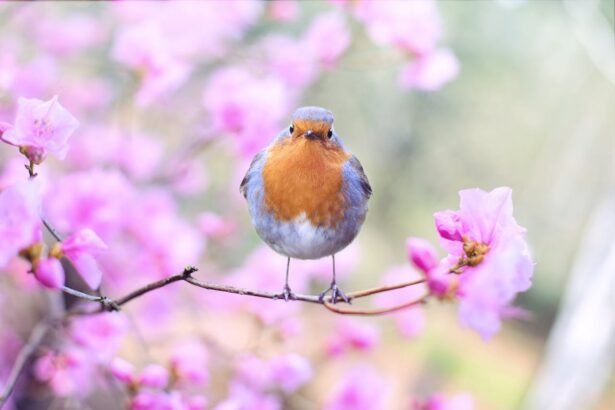 10 Birds That Symbolize Happiness and Joy (With Images)