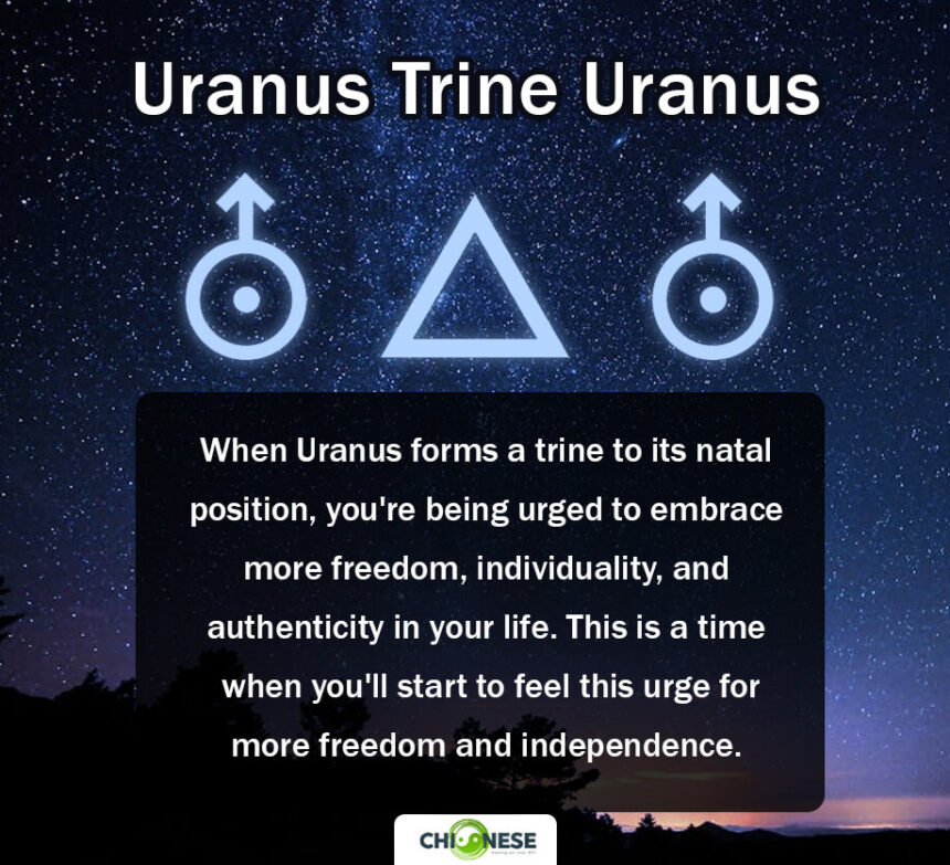 Chi-nese.com - Daily Dose of Positivity