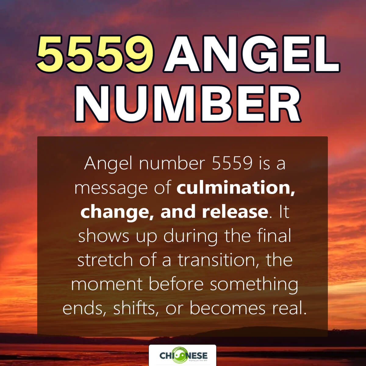 Angel Number 5559 Meaning: When Change Finally Bears Fruit