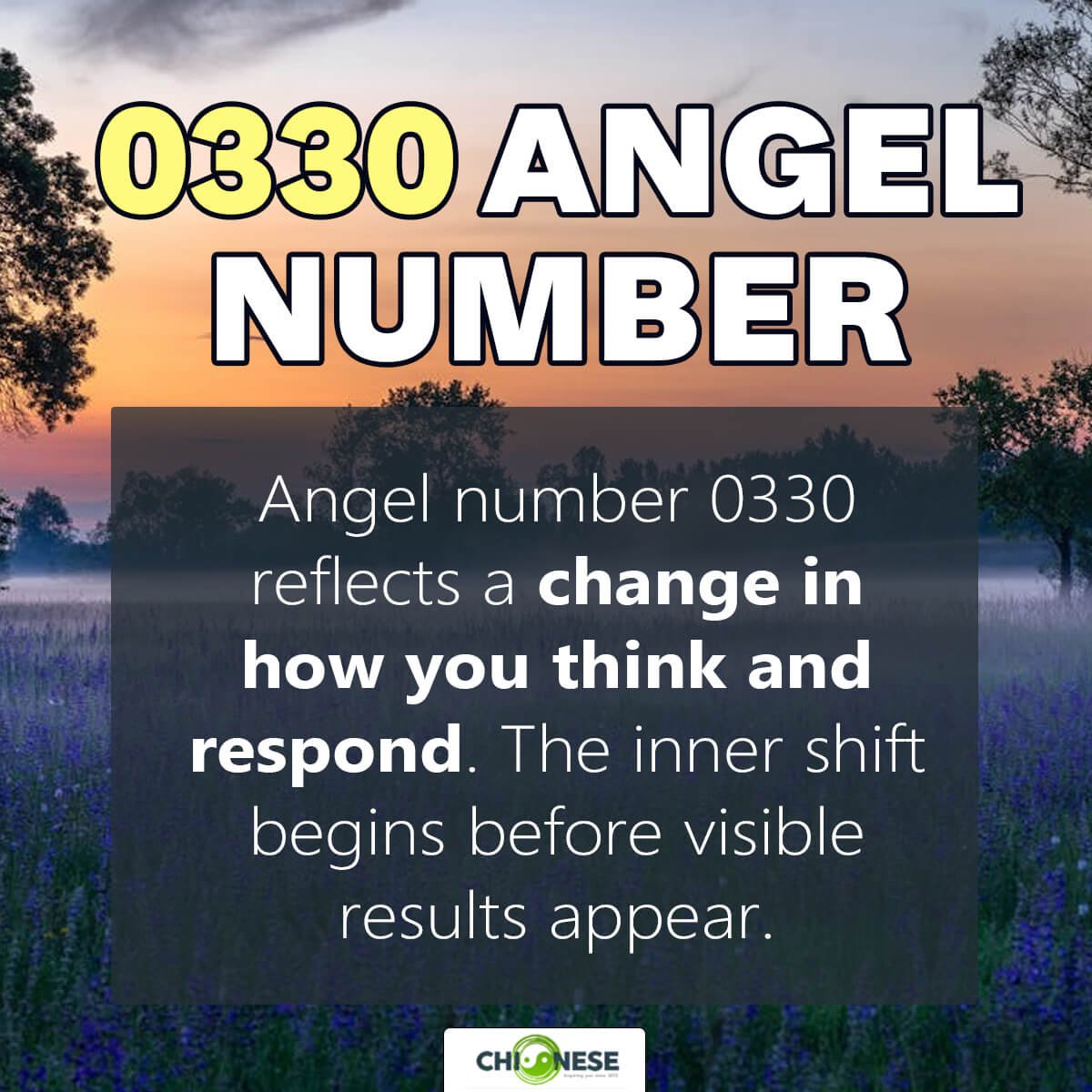 Angel Number 0330: Growth That Starts From the Inside