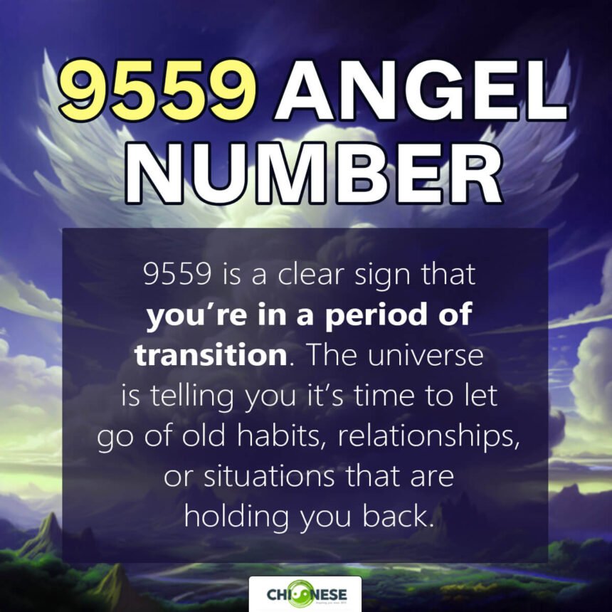 Angel Number 9559: When Release Creates Real Momentum