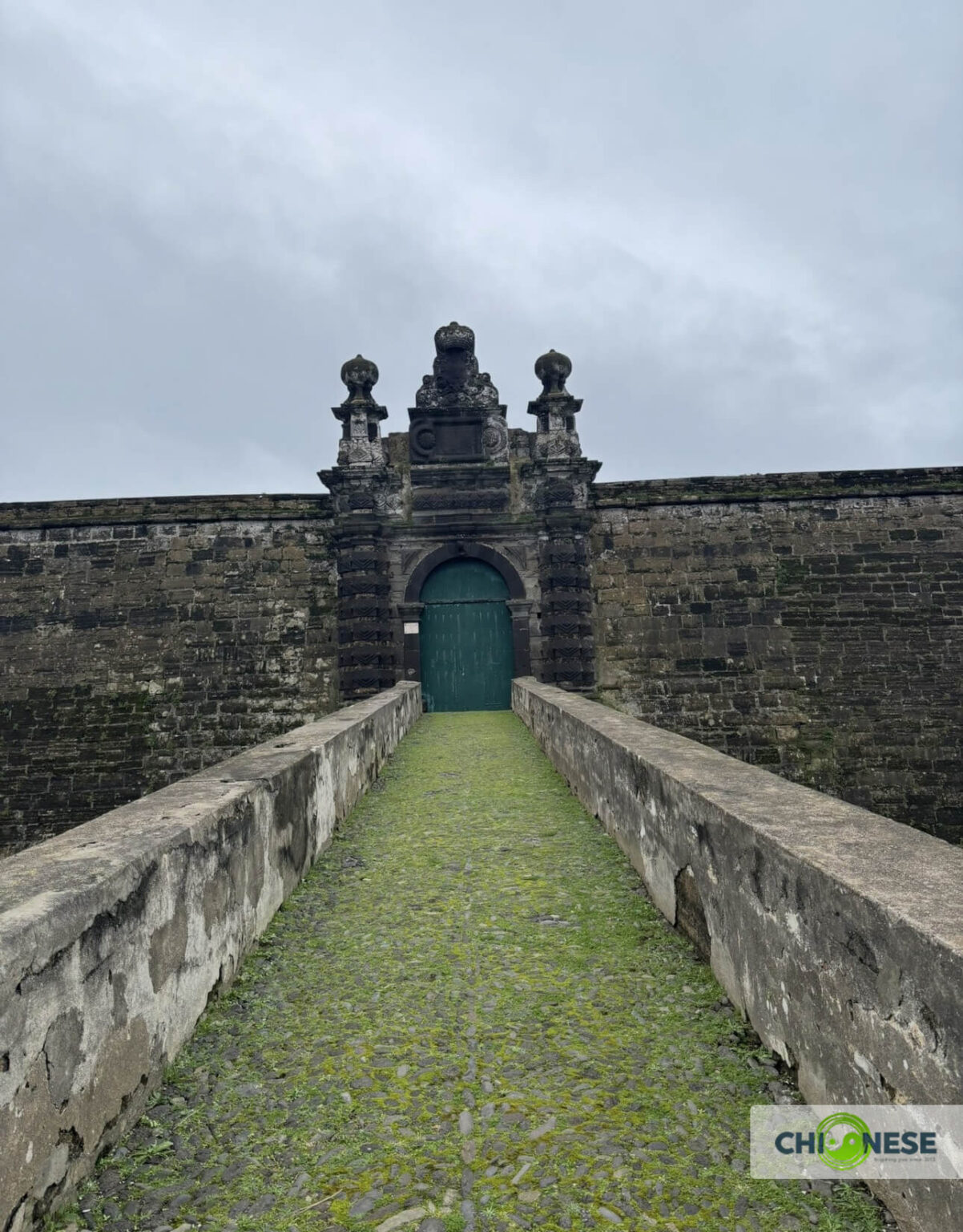 Cat Colony On Monte Brasil: A Feline Paradise (Terceira, Azores)