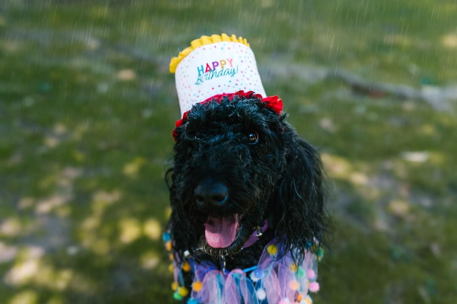 When It Rains on Your Birthday: Spiritual Meaning & Superstitions