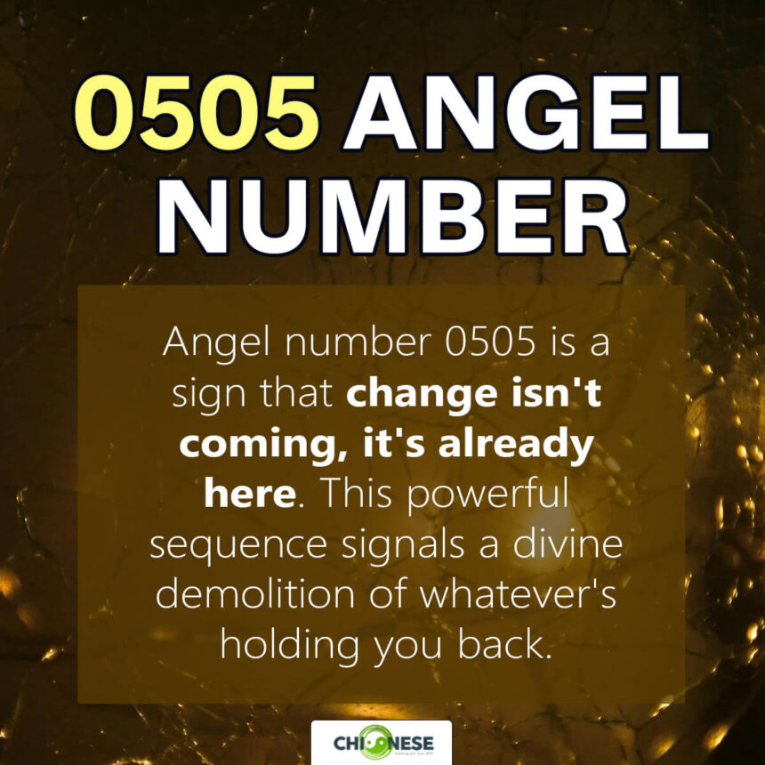Angel Number 0505 Spiritual Meaning (Twin Flame, Money, Love)