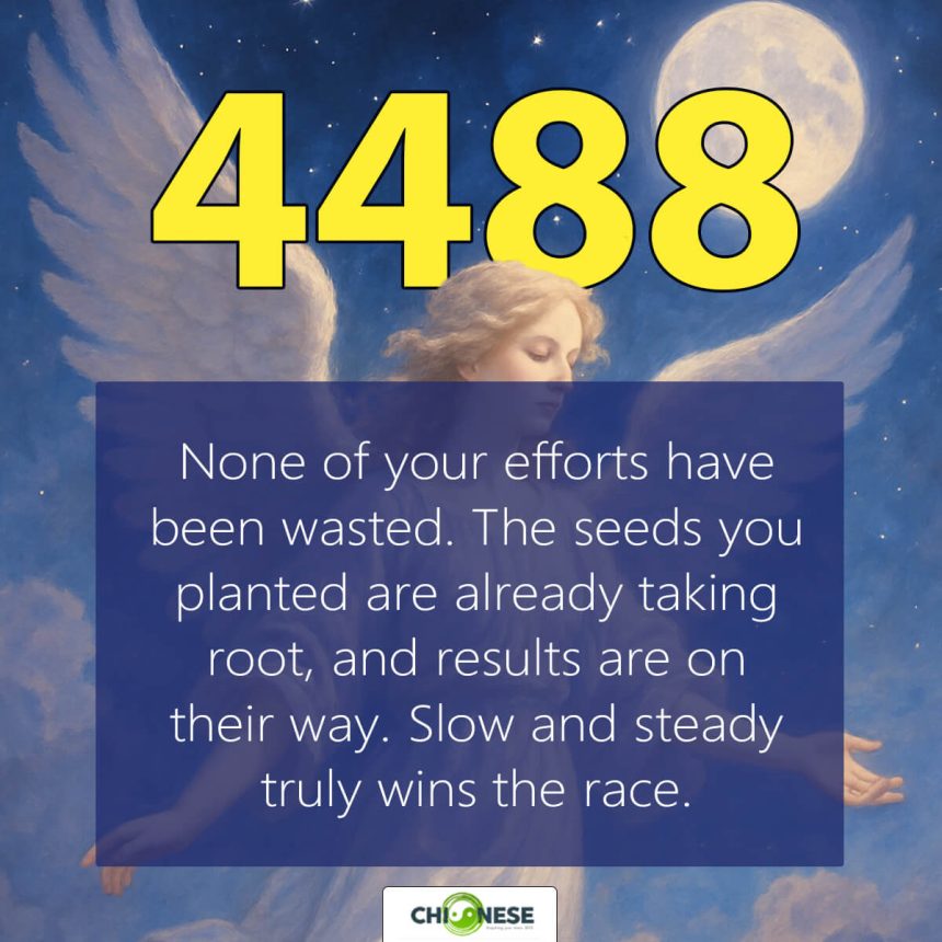Angel Number 4488 Spiritual Meaning (Twin Flames, Money, Love)