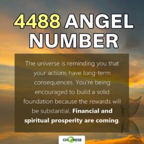 Angel Number 4488: What You’re Building Has Long-Term Weight