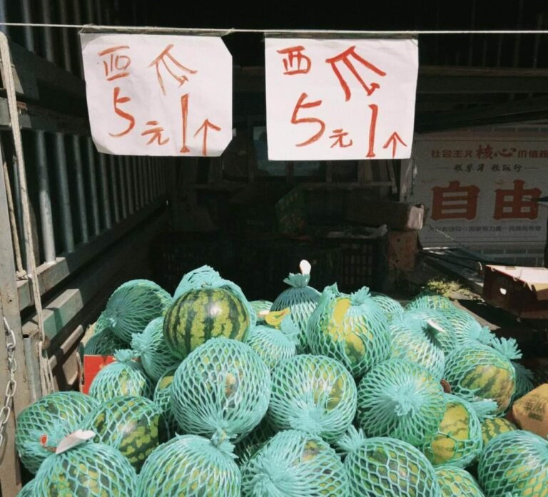 Fruits That Start With X (Complete List With Meanings)