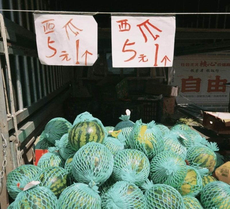 Fruits That Start With X (Complete List With Meanings)
