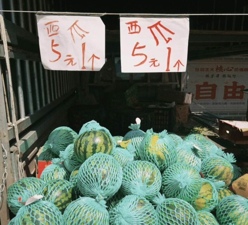 Fruits That Start With X (Complete List With Meanings)