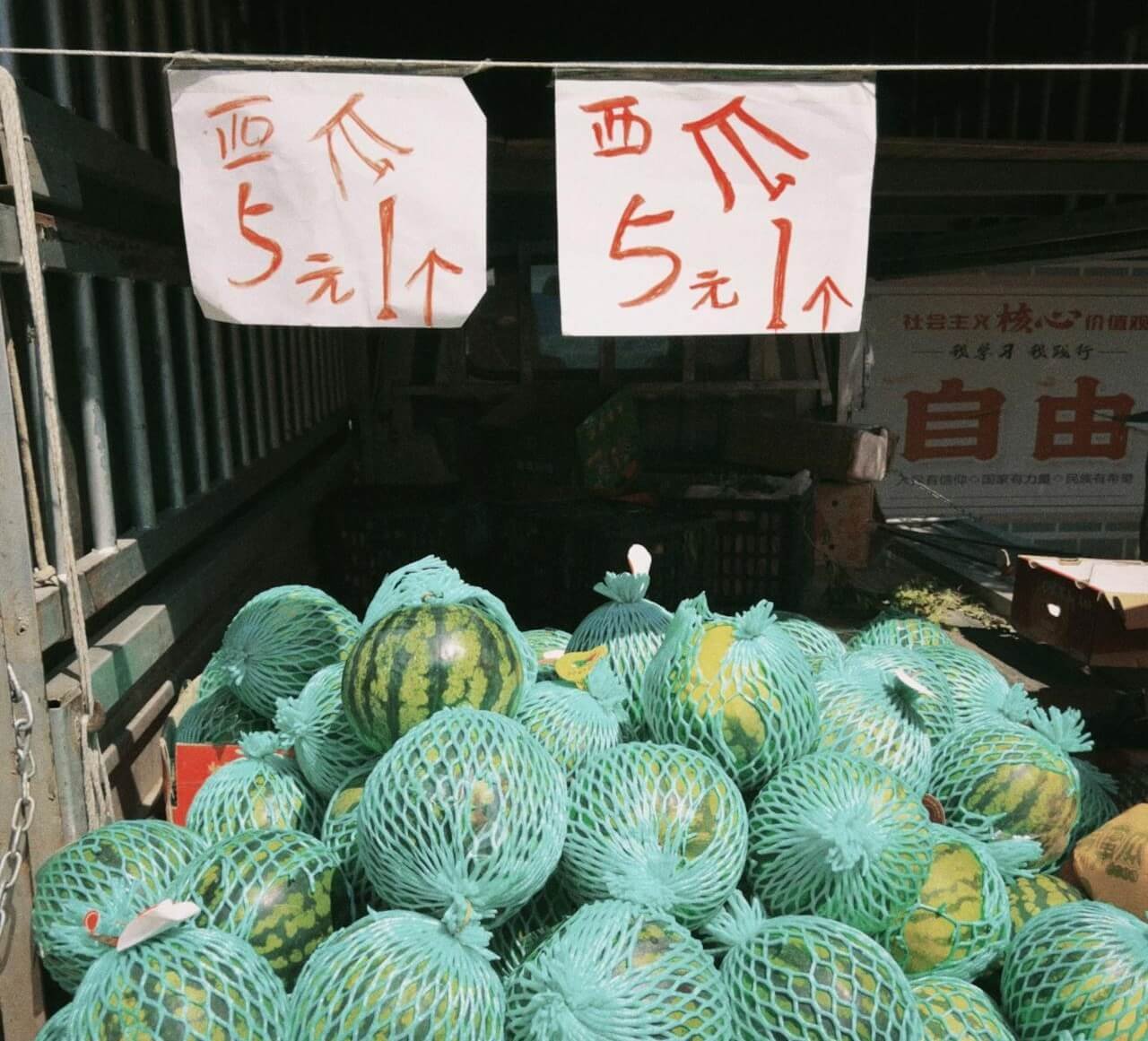 Fruits That Start With X (Complete List With Meanings)