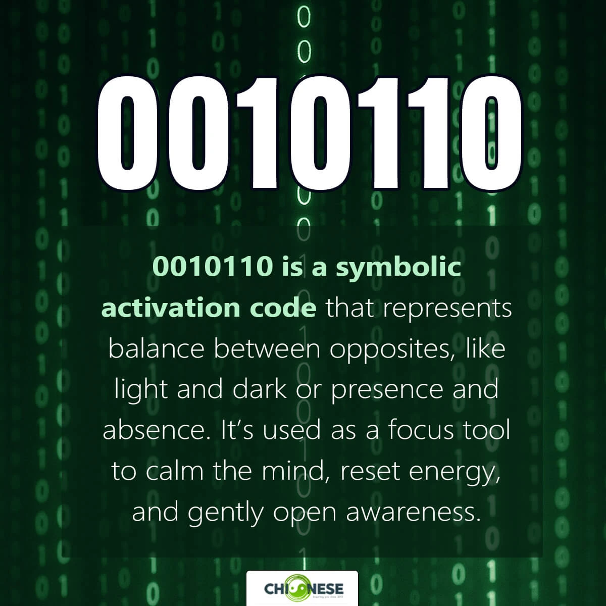 0010110: The Binary Code That Feels Like a Key Out of the Matrix