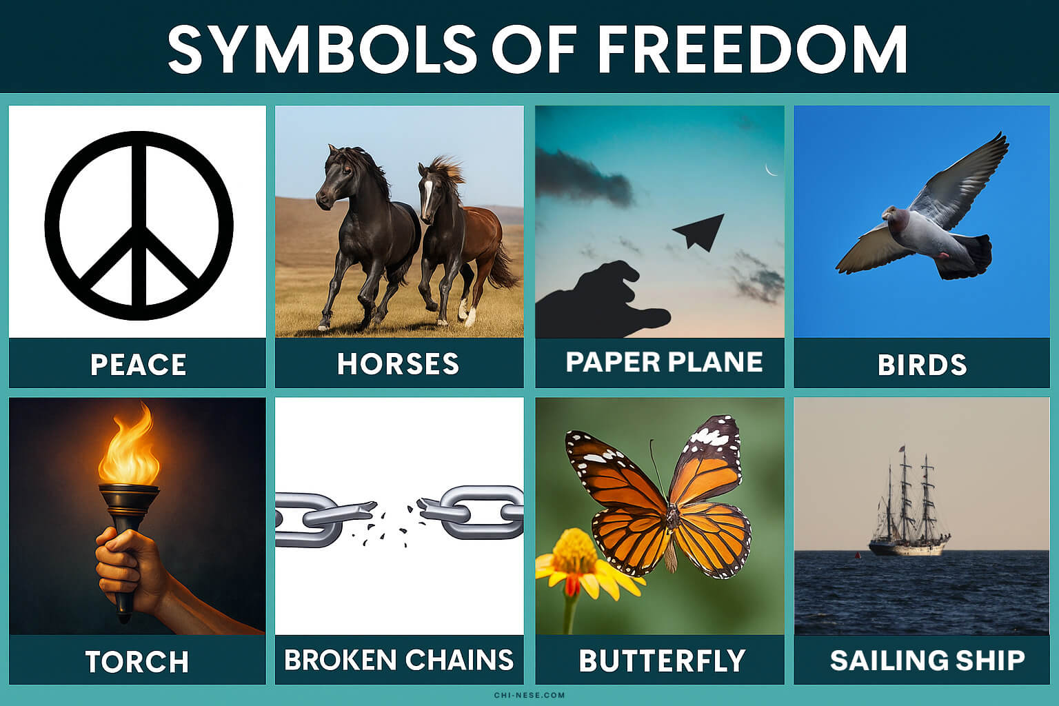 43 Symbols of Freedom: The Shape of Being Unbound