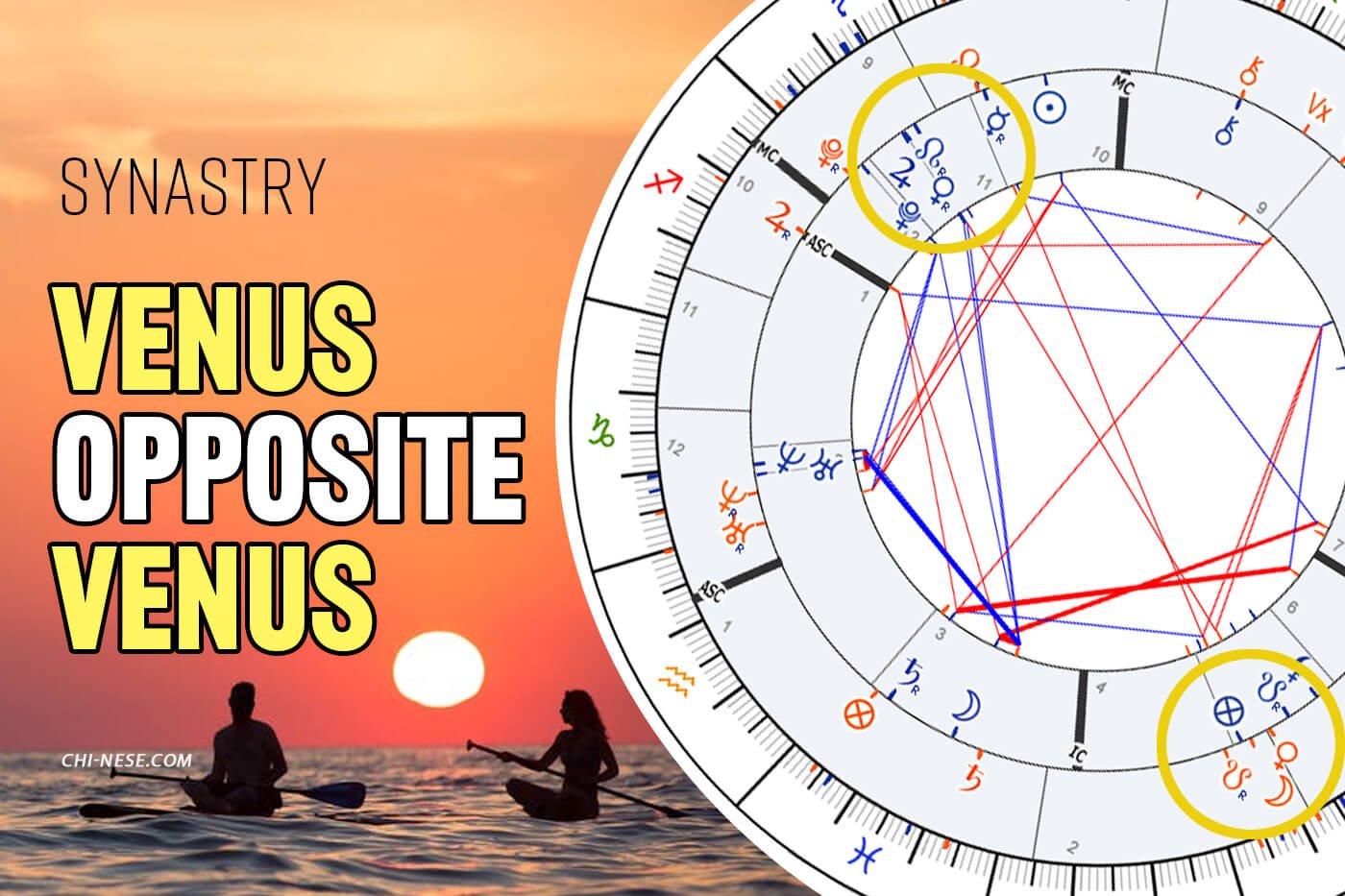 Venus Opposite Venus Synastry: Two Different Love Languages